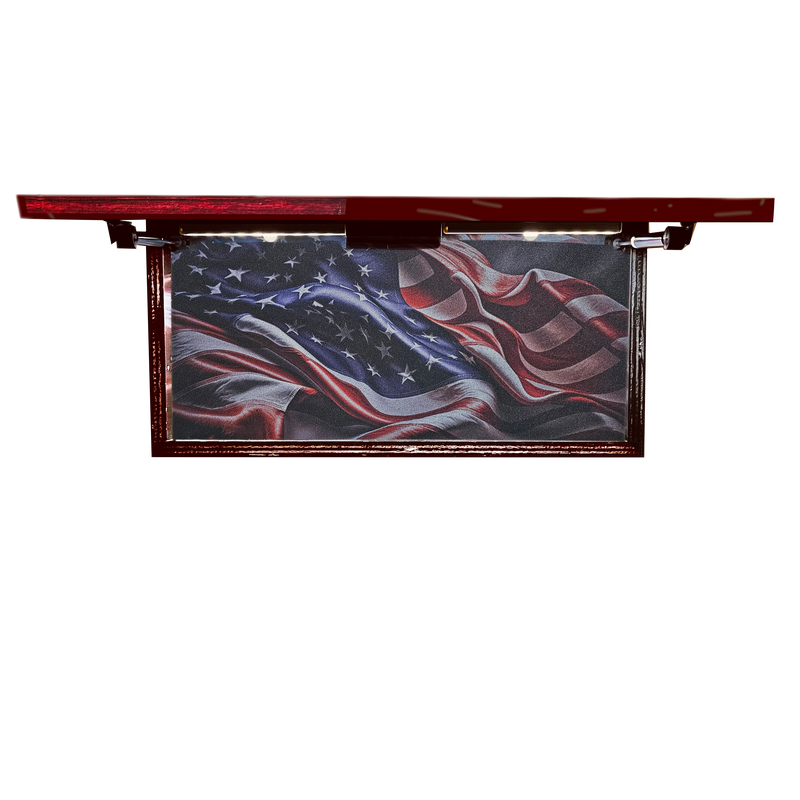 The “QUICK DRAW”